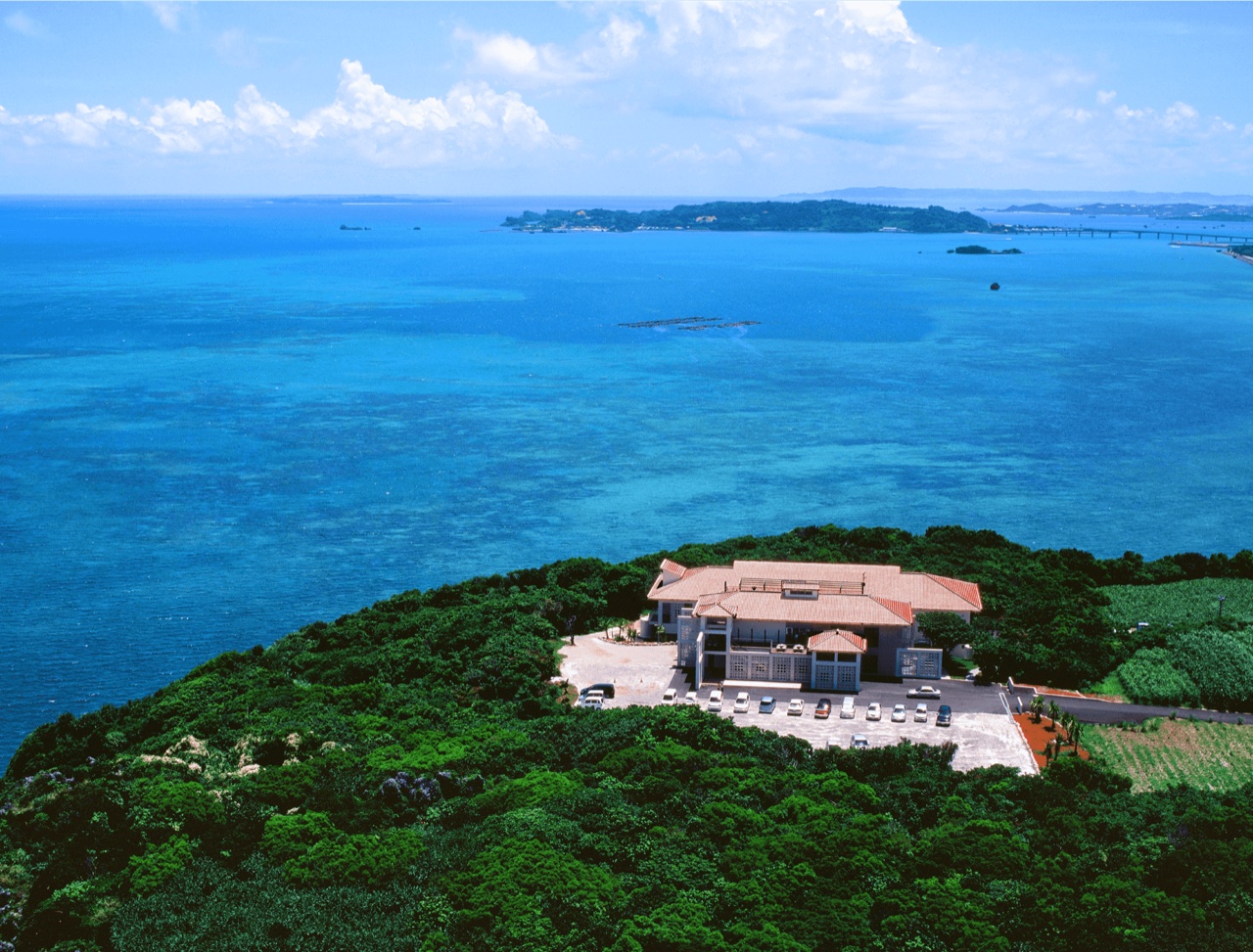 Try Sea Salt Flavor Icecream in Okinawa - Oki Social