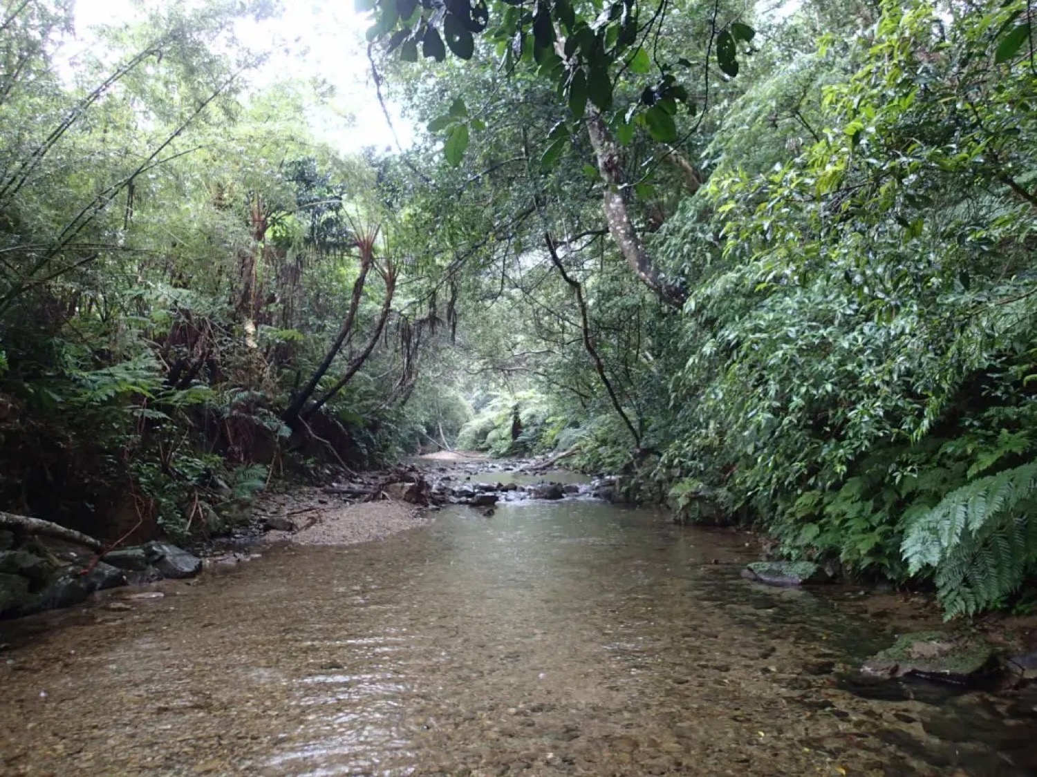 Unveiling Ta-taki Waterfall: Okinawa's Hidden Gem for Water Trekking ...