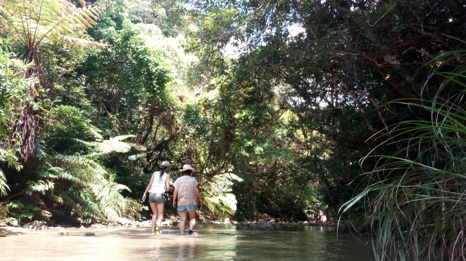 Unveiling Ta-taki Waterfall: Okinawa's Hidden Gem for Water Trekking ...