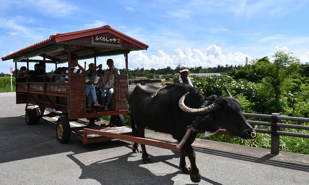 9th Kin Dam Festival on July 20: Splash, Splash, It’s Dam Fun - Oki Social