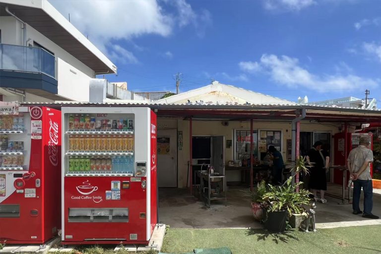 Ōjima – A Cat Island With Grease, Salt, and Soul - Oki Social